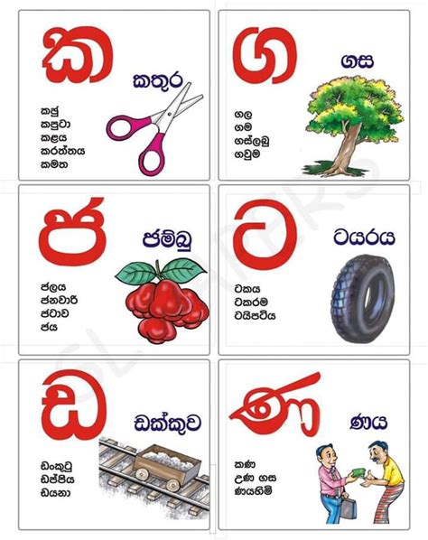 දැනුම් සයුර ප්‍රාථමික දරුවන්ට සිංහල හෝඩිය 💚💚