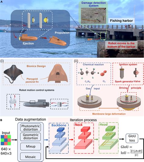 Yolox Dg Robotic Detection Systems For Large Scale Underwater Concrete Structures Iscience