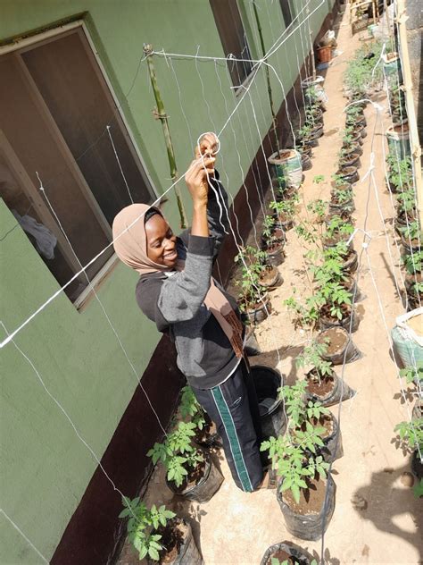 Salami Matthew On Linkedin Plan Plant