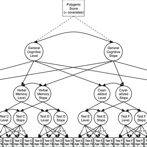 Simplified Diagram Of The Structural Equation Model Used To Estimate Download Scientific