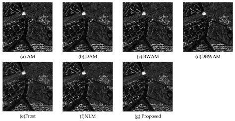 Enhancing Rabasar For Multi Temporal Sar Image Despeckling Through