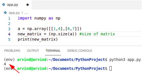 Python Numpy Matrix Examples Python Guides