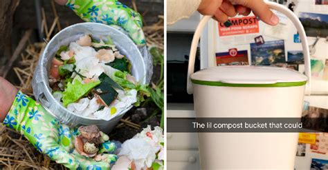A Beginners Guide To Composting