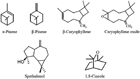 Chemical Structures Of The Most Commonly Occurring Major Volatile
