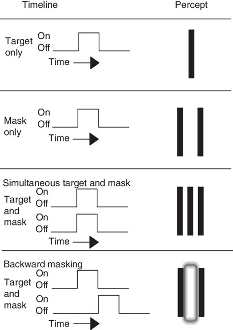 Temporal Sequencing Of Stimuli In Backward Visual Masking A Target Download Scientific Diagram