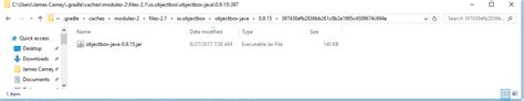 javassist notfoundexception · issue 135 · objectbox objectbox java · github