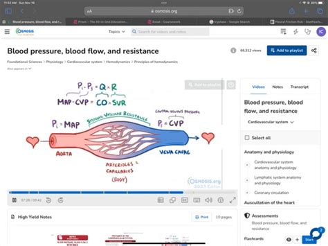 Shock Flashcards Quizlet