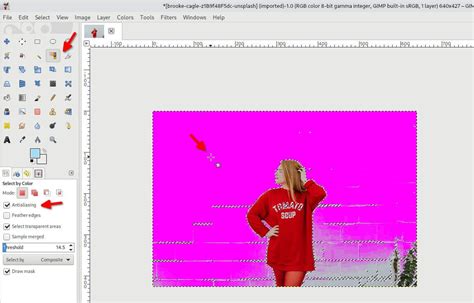 Ways To Remove Background In Image Using GIMP