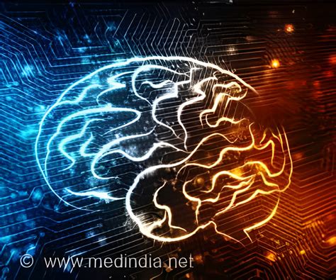 Brain Repair How Stroke Recovery Differs In Men And Women
