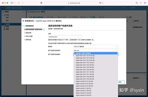 Vmware Esxi 8 0 Macos Unlocker And Oem Bios 标准版和厂商定制版 知乎