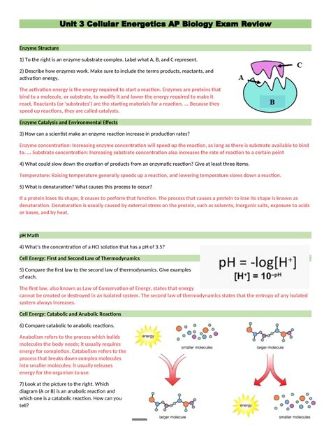 Unit 3 Cellular Energetics Review Unit 3 Cellular Energetics Ap