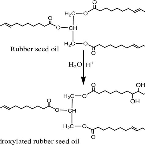 The Proposed Of Addition Reaction Download Scientific Diagram