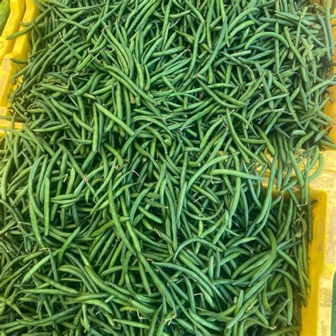 Sautéed String Beans Lavender Honey