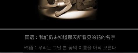 4 8 0 13korean display exception general windows emby community