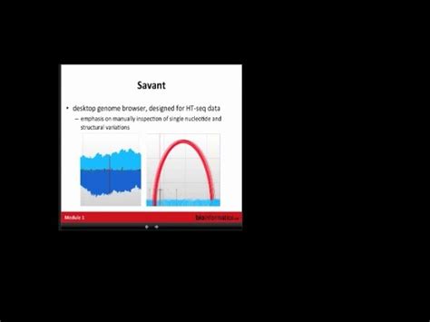 Free Video Informatics On High Throughput Sequencing 2014 From Bioinformaticsdotca Class Central