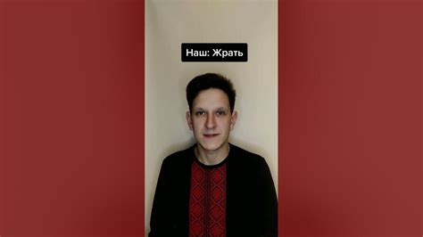 Юмор прикол пранк шутка кошки кошачий котики язык обзор разбор перевод угар ржач смешно Youtube