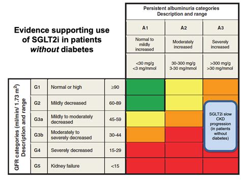 Ckd Summary Overview Ckd Summary Overview