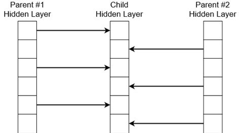 Neural Networks Exposed Beautiful Genetic Algorithms In C Wfale