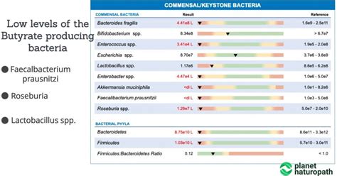 Butyrate Benefits 10 Things You Need To Know
