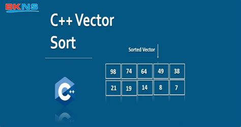 Vector trong C là gì Tổng hợp các hàm vector trong C và cách sử dụng BKNS