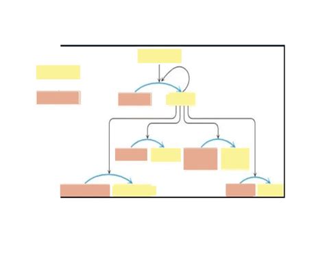 Enzyme Estomac Duodenum Quiz