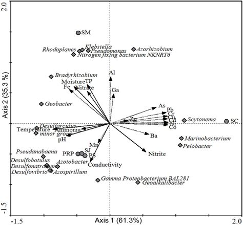 A Redundancy Analysis Rda Biplot Based On Phylogenetic Groups At The Download Scientific