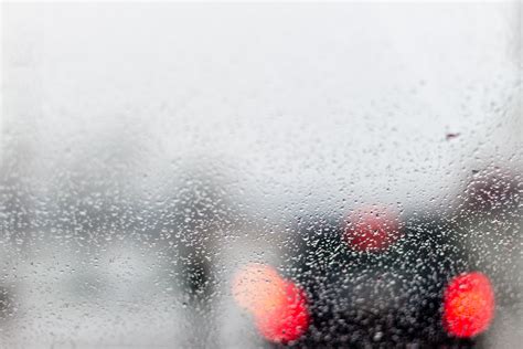 무료 이미지 눈 겨울 사진술 서리 젖은 빨간 날씨 폭풍 시즌 닫다 동결 비오는 날 매크로 사진 5184x3456 1284625 무료