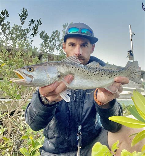 All Things Fly Fishing