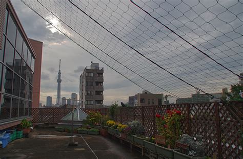 花と緑と笑顔の企画 和翔苑家族会 和翔苑のブログ