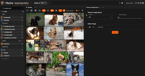 Fiftyone 10weeksofplugins Machinelearning Computervision