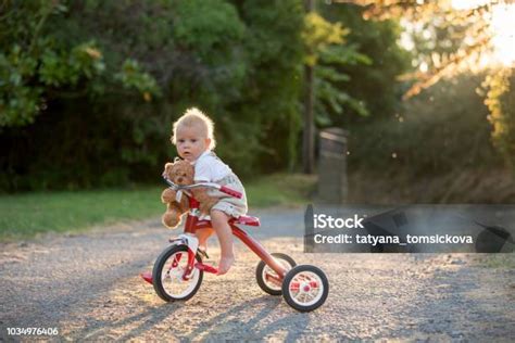 귀여운 유아 아이 소년 일몰에 뒷마당에서 세 발 자전거와 함께 연주 빨강에 대한 스톡 사진 및 기타 이미지 빨강 세발자전거 1위 Istock