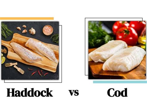 Haddock Vs Cod Which Is Healthier And Differences