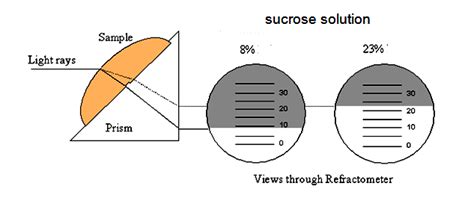 6 The Need For Calibration Of Refractometer Download Scientific Diagram