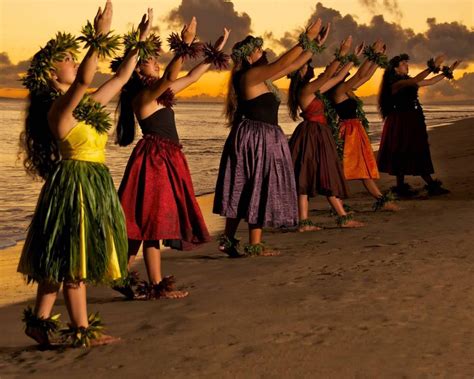 Hula Wallpapers Top Free Hula Backgrounds Wallpaperaccess