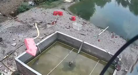 himasha jayamanna on linkedin taking risk is the key to a better life take the leap