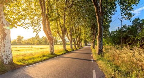 What Can Bitumen Be Used For