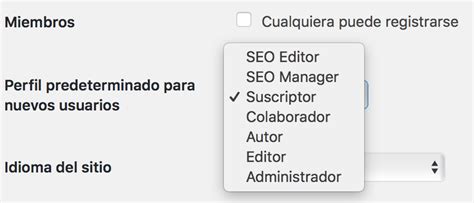 Configuración de los ajustes de WordPress JADE webs
