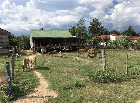 Loverlab Umass Measuring Effects Of Ivermectin Treated Cattle On
