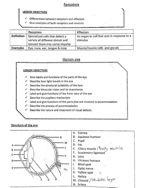 The Human Eye Zv Life Sciences Note Some Of Them They Summarize By