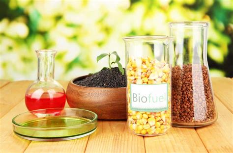 Biofuels What Are They How Do They Work How Are They Made