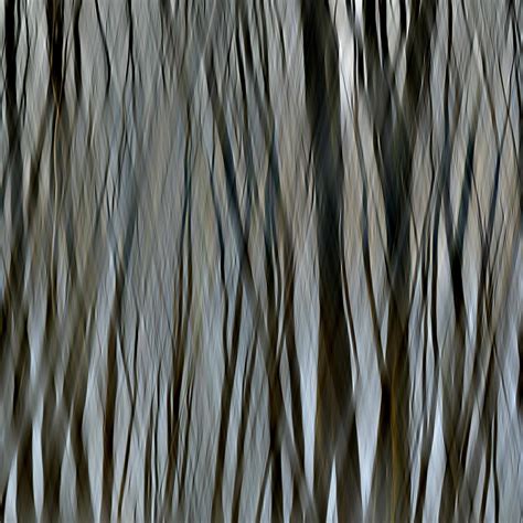 Algorithm Artwork Wee Aye Aye