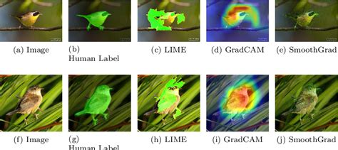 Interpretable Deep Learning Interpretations Interpretability Trustworthiness And Beyond