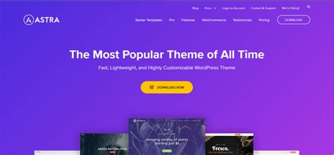 Top 5 Dynamic And Lightweight Wordpress Themes