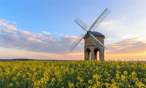맘풍에 있는 Co Co님의 핀 자연 사진 수채화 풍경 생일 축하 그림