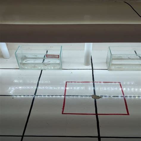 Aspirin Hplc Chromatogram A Standard Calibration Curve For Aspirin Download Scientific