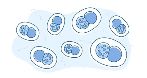 Bacterial Stds Priority Std Testing