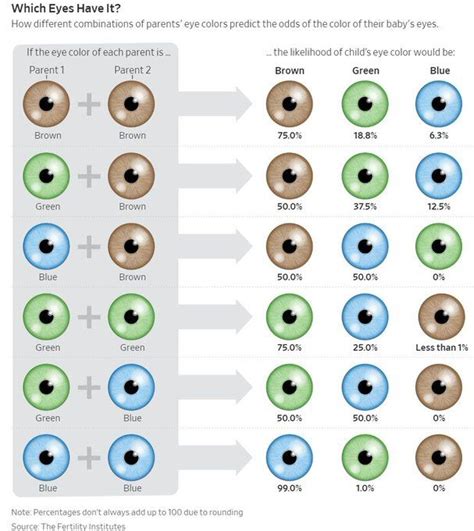 Punnett Square Calculator Eye Color
