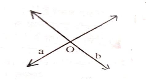 Basic Concepts Of Geometry Class 9 Mathematics Satyam