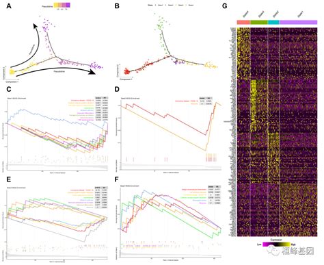 if 8 基于单细胞 rna seq 构建非小细胞肺癌免疫反应的中性粒细胞预后模型 csdn博客