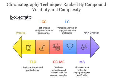 Chromatography Techniques Gc Ms Lc Basics To Advanced